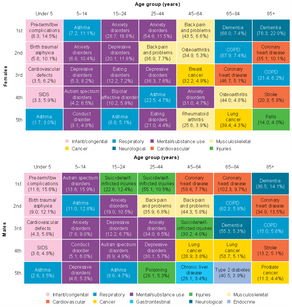 Australian Burden of Disease Study 2023, Key findings - Australian ...